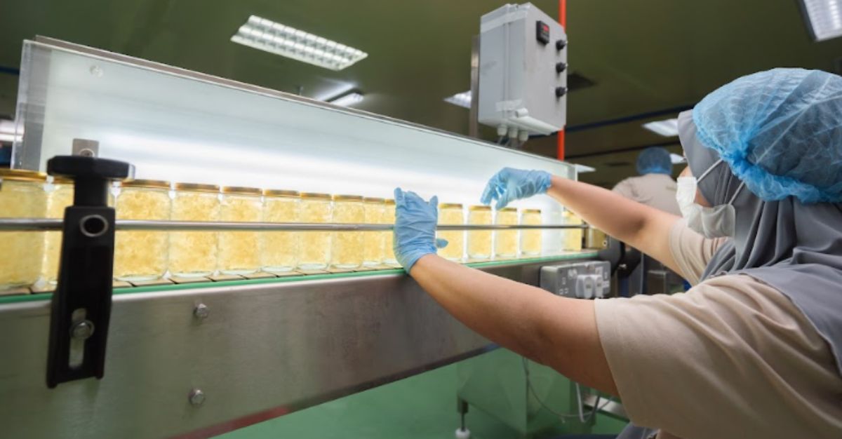 Launch Faster With Bird Nest Manufacturing Process